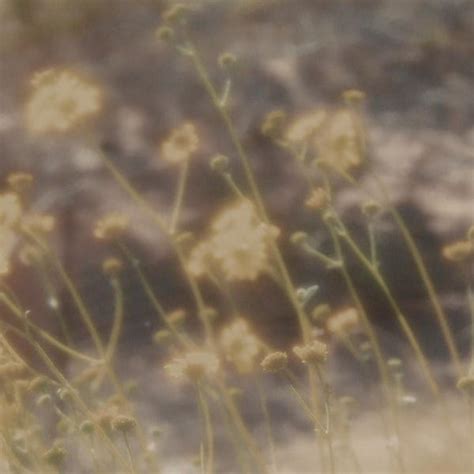 16 Mm Film Color Luts L Cinematic L Fılm I Color Grading I Video Preset L Video Luts I Video