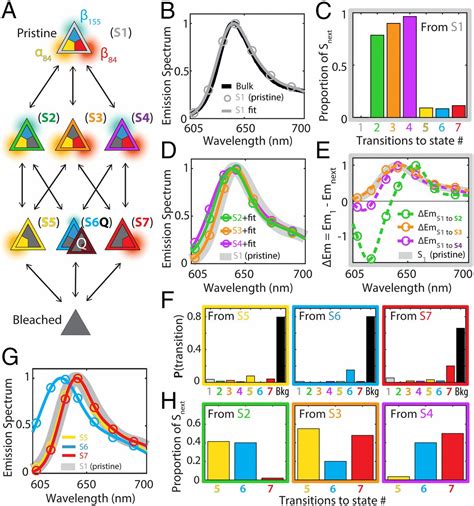 Direct Single Molecule Measurements Of Phycocyanobilin Photophysics In