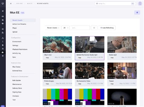 Mux Video Add Ons Expressionengine