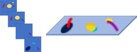 An Example Of Multi Dimensional Image Analysis Advanced D Cell Counting