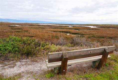 Baylands Nature Preserve
