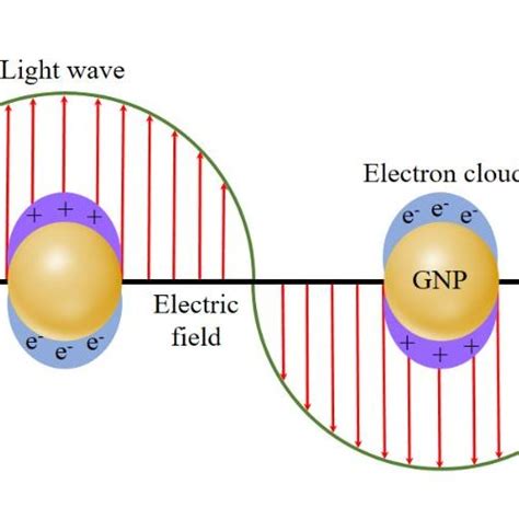 Surface Plasmon Resonance Of Gold Nanoparticles Download Scientific