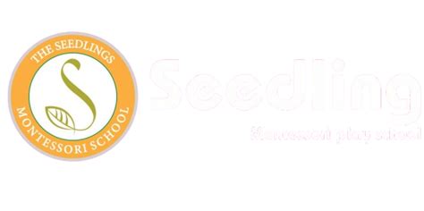 Seedling Montessori School A Foundation For Lifelong Learning