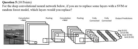 Solved Question 5 10 Points For The Deep Convolutional Neural
