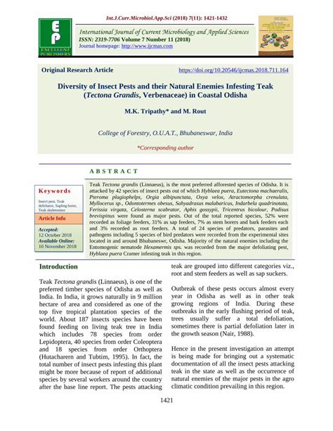Pdf Diversity Of Insect Pests And Their Natural Enemies Infesting Teak Tripathy And M