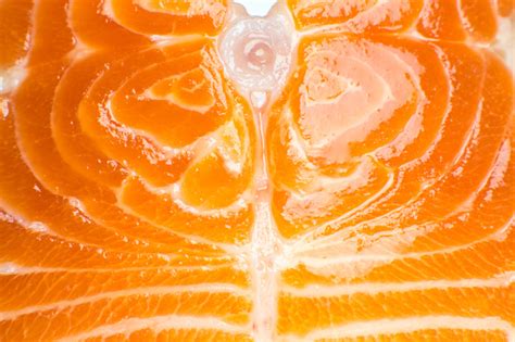 신선한 연어 생선 질감의 사진을 닫습니다 붉은 생선 고기 배경 오메가 3 비타민 건강한 라이프 스타일 천연 채식 주의 식품 맨 위 보기입니다 건강한 생활방식에 대한 스톡