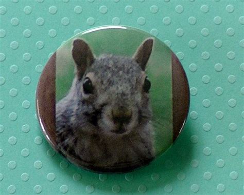 Cute Gray Squirrel Closeup Pinback Button