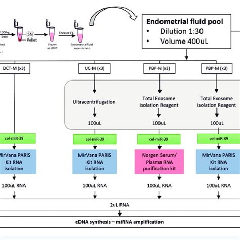 Workflow Summarizing The Different Methods Used To Analyze Micrornas