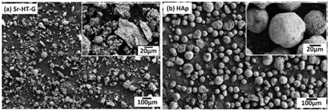 Coatings Special Issue Biointerface Coatings For Biomaterials And Biomedical Applications