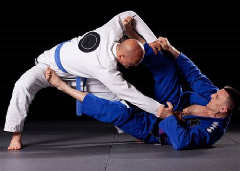 کدام ورزش رزمی بهتر است؟ آکادمی احسان دیبازر