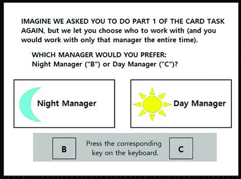 example screenshot of the preference task this example illustrates the