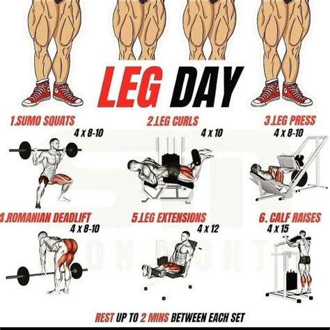 Leg Day Gym Workouts For Men Workout Routine For Men Leg Workout