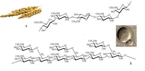 β Glucans Extracted A From Barley β 13 14 D Glucan And B From