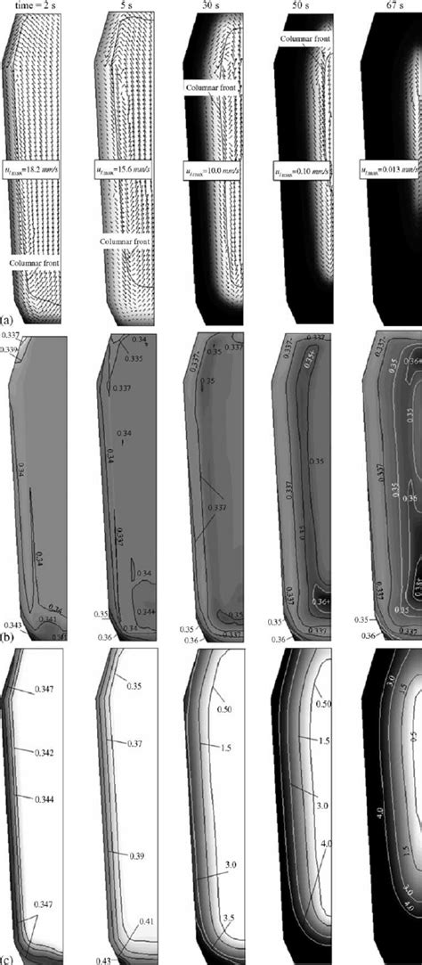 Predicted Solidification And Macrosegregation Formation In A Binary Download Scientific Diagram
