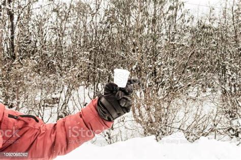 겨울 옷에서 여자 관광 차와 뜨거운 커피 컵을 보여주는의 컵을 보유 하고있다 눈에 덮여 배경에 산과 숲 행복 한 순간을 즐기는
