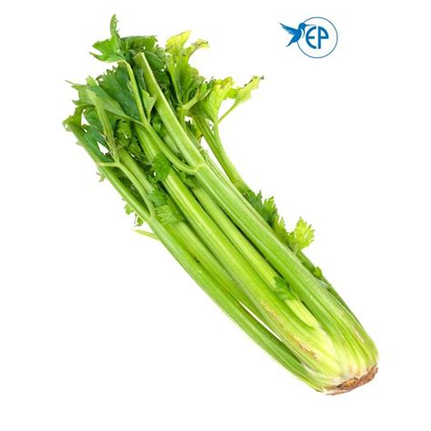 Buy Fresh Celery Online Near Me Retail And Bulk Order Eatpecker