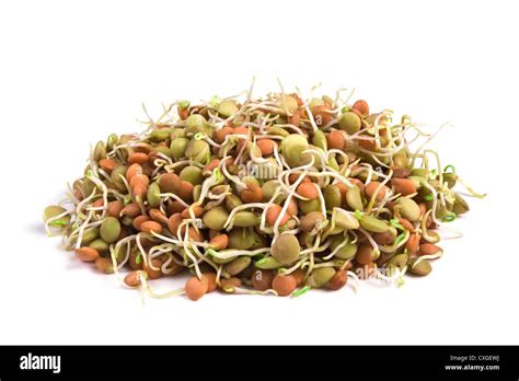 Lentil Seeds Hi Res Stock Photography And Images Alamy