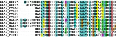 多序列比对 Xiaojikuaipao 博客园