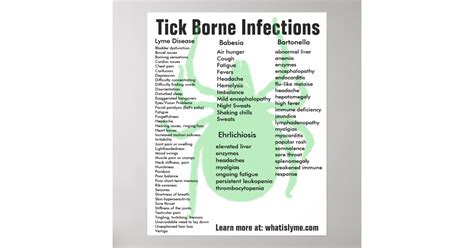Tick Borne Infections Symptoms Educational Poster Zazzle
