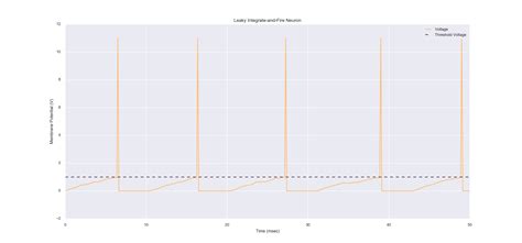 Modeling The Simplest Biological Neuron With Python By Nosratullah