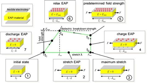 Electroactive Polymers Polymers Actuators Sensors Artificial Muscles Energystorage