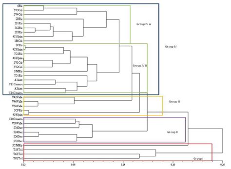 dendrogram built based on nei s distance coefficient 1978 and the