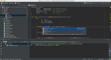 Best Ide Editors And Tools For Go Programming Language