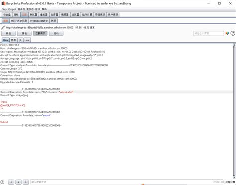 Ctfhub Web 文件上传ctf文件上传获取flag Csdn博客