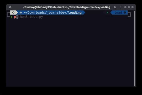 Cool Terminal Progress Bar Python And Bash Linuxfordevices