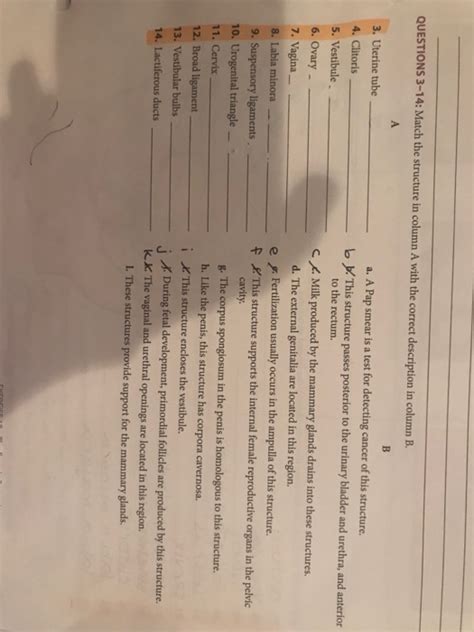 Solved Match The Structure In Column A With The Correct Chegg