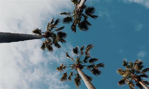 Post Alarm Systems Post Alarm Shields Up Since 1956