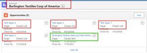 How To Update Related Records Using Salesforce Flow