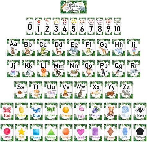 Faccito 58 Pcs Eucalyptus Alphabet Number Bulletin Morocco Ubuy