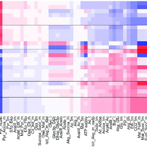 Regularized Canonical Correlation Analysis Of Metabolic Fluxes And Download Scientific Diagram
