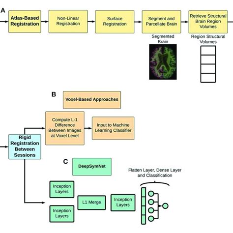 Overview Of A Atlas Based And Non Linear Registration Imaging