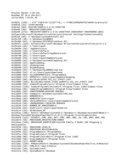 Stringhackerprocess Pdf Internet Protocol Suite Windows Registry