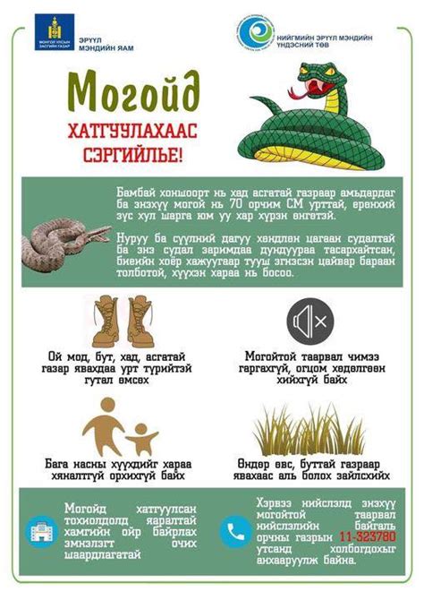 СУУРЬШЛЫН БҮСЭД ХОРТОЙ МОГОЙ ИХЭЭР ҮЗЭГДЭХ БОЛЖЭЭ