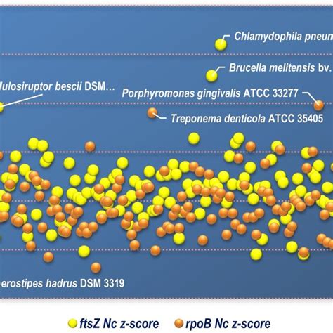 A Scatter Plot Depicting The Distribution Of Z Score For The Nc Of Ftsz