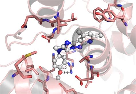 Hypothetical Binding Modes Of Compound 5c A And 5e B In Cox 2
