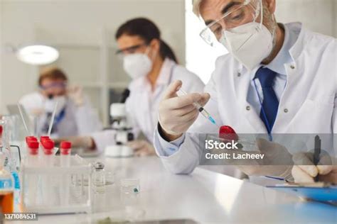 현대 식품 실험실에서 연구를 하는 동안 Gm 토마토에 작업 하는 유전 과학자 과학 실험에 대한 스톡 사진 및 기타 이미지 과학 실험 과일 실험실 Istock