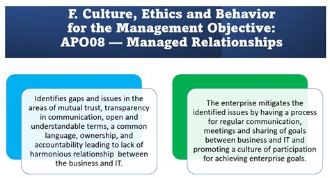 strategies to customize and implement cobit best practices