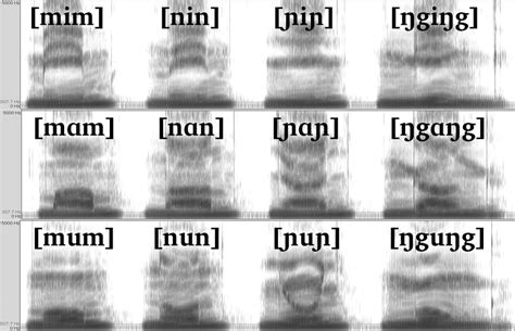 The Dynamic Spectrograms Of All Latvian Nasals In The Context Of The