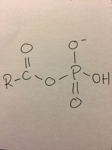 Functional Groups Flashcards Quizlet