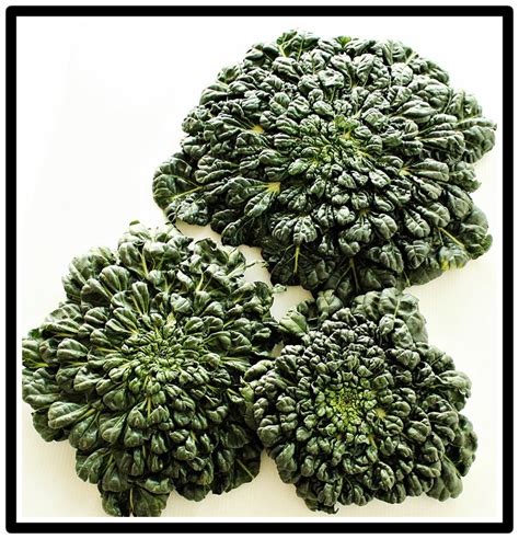 My Recipes Stir Fried Fu Gui Cai