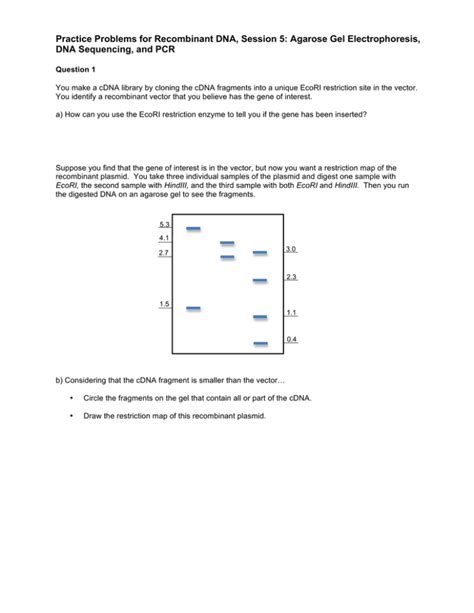 Recombinant Dna Practice Problems Gel Electrophoresis Sequencing Pcr