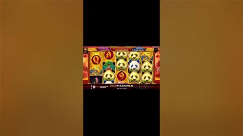 😎 슬롯 보스 😎 2월 6일 고액배터 슬롯 보스금빛 판다 파티 판다포츈2 Pandas Fortune 2 슬롯 슬롯머신 프라그마틱 Youtube