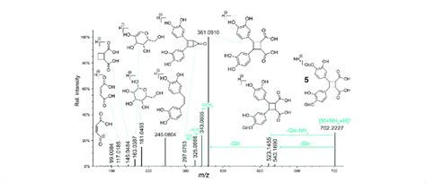 Fragmentation Pattern Of Compound 5 Download Scientific Diagram