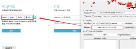 navicat和mysql的安装 navicatformysql永久许可证 csdn博客