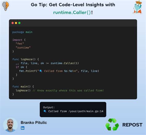 Go Golang Debugging Observability Softwareengineering Gophers Branko Pitulic