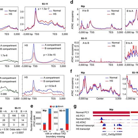 Chromatin 3d Structure And Chromatin Accessibility Are Correlated Upon Download Scientific
